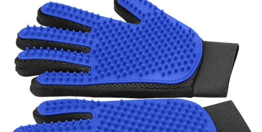 The Best Cat Grooming Gloves of 2023 That Will Help Keep Your Cat and ...